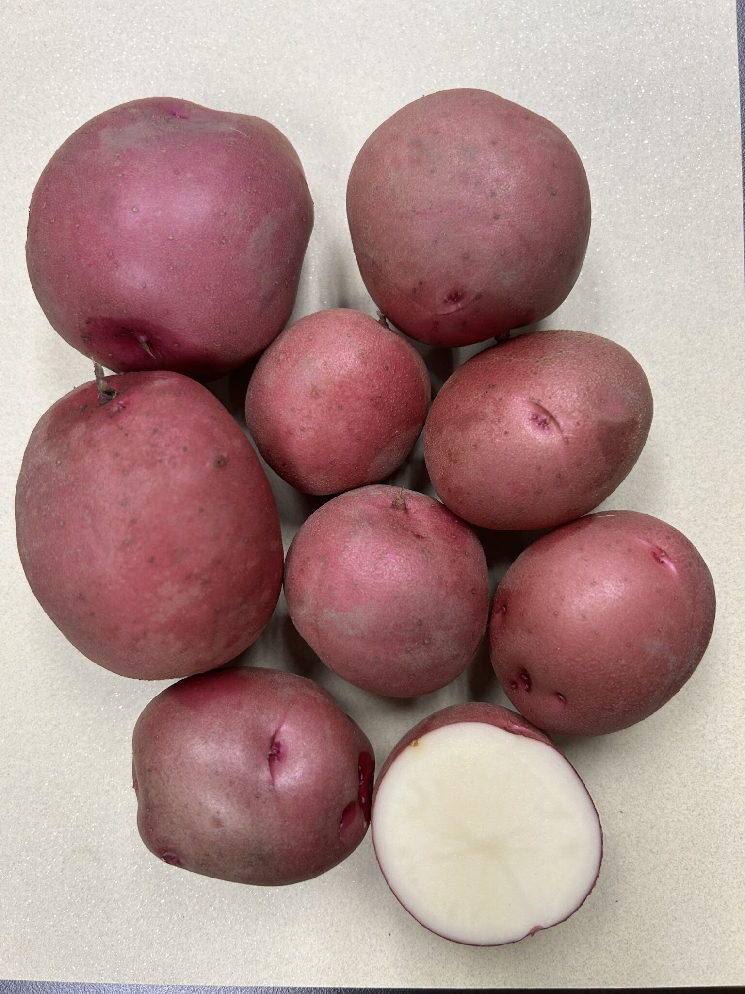 Dick Bedlington farms Varieties - Dick Bedlington farms